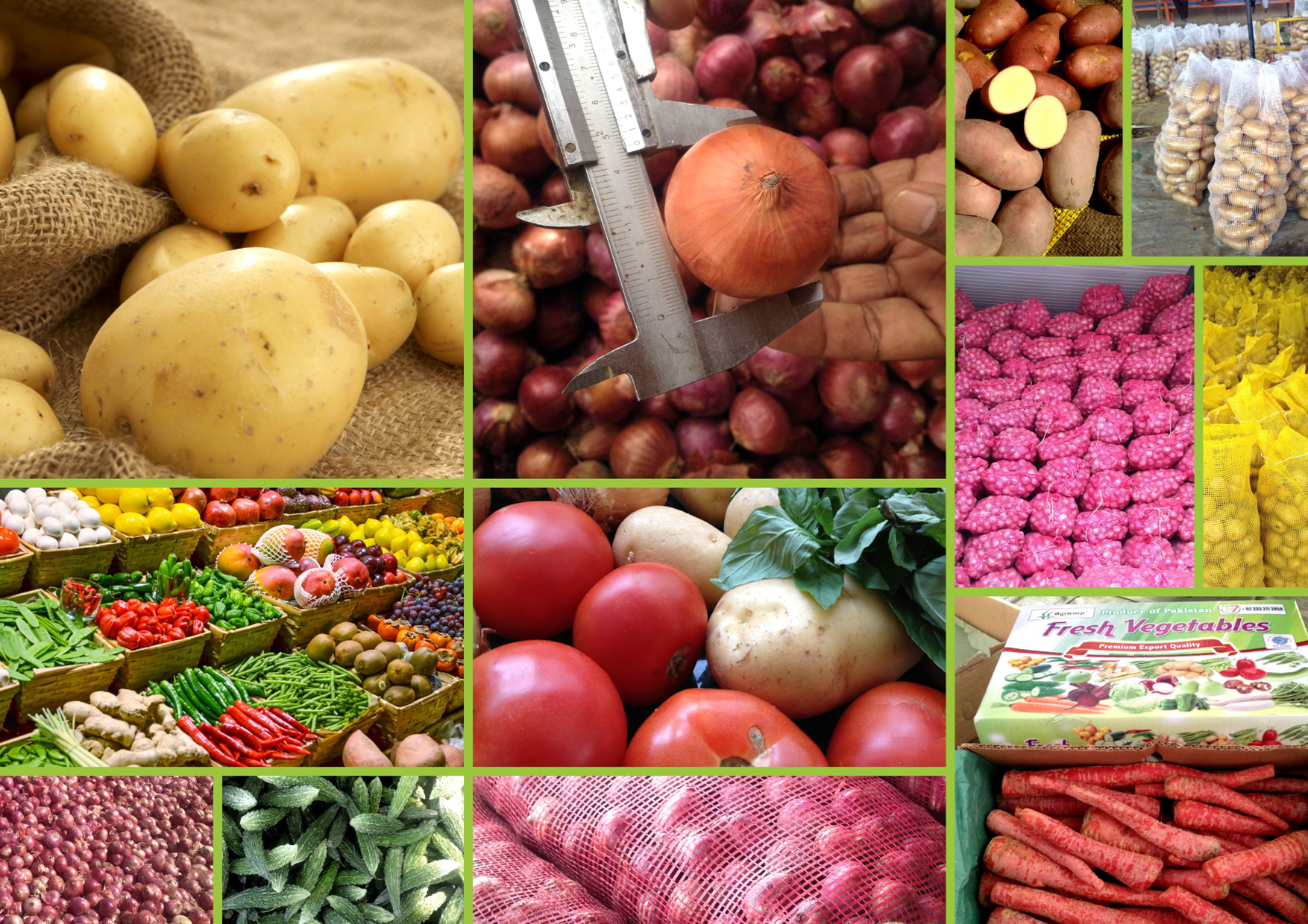 Export Quality Farm Produce Exporters From Pakistan