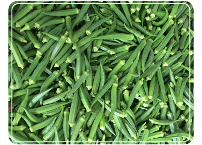 Pakistani Fruits & Vegetables | Fruits & Vegetables Exporters