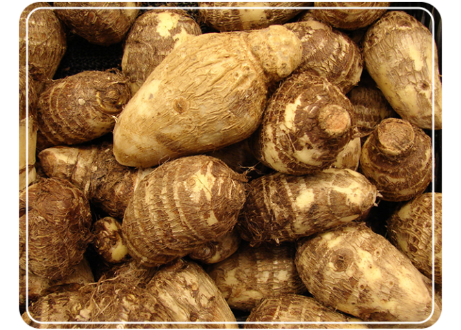 Pakistani Fruits & Vegetables | Fruits & Vegetables Exporters